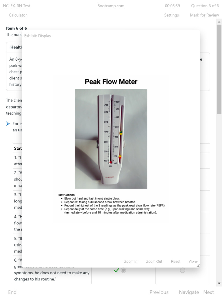 Peak Flow Meter | PDF
