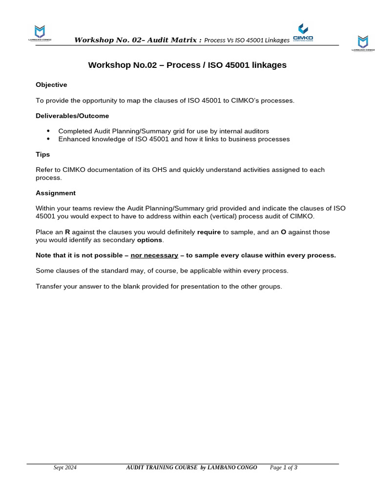Workshop 2 Audit Matrix 45K | PDF | Audit | Internal Audit