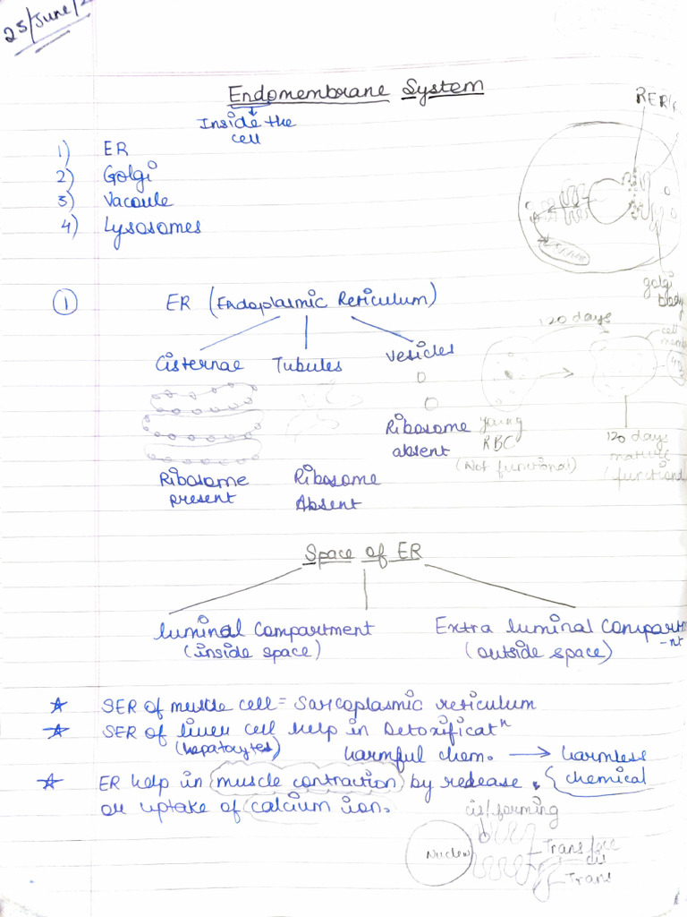 Biology Class 10 | PDF