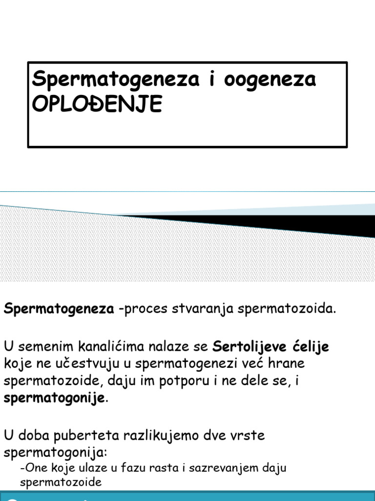 3a.spermatogeneza I Oogeneza | PDF