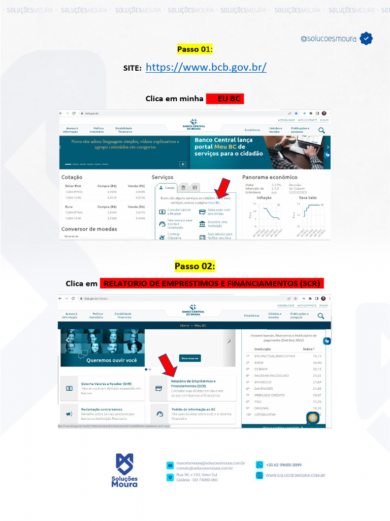 Passo A Passo de Como Fazer Consulta Bacen - CCF | PDF