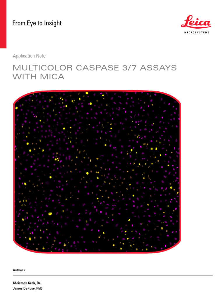 Mica - Application Note - Multicolor Caspase Assays | PDF | Apoptosis ...