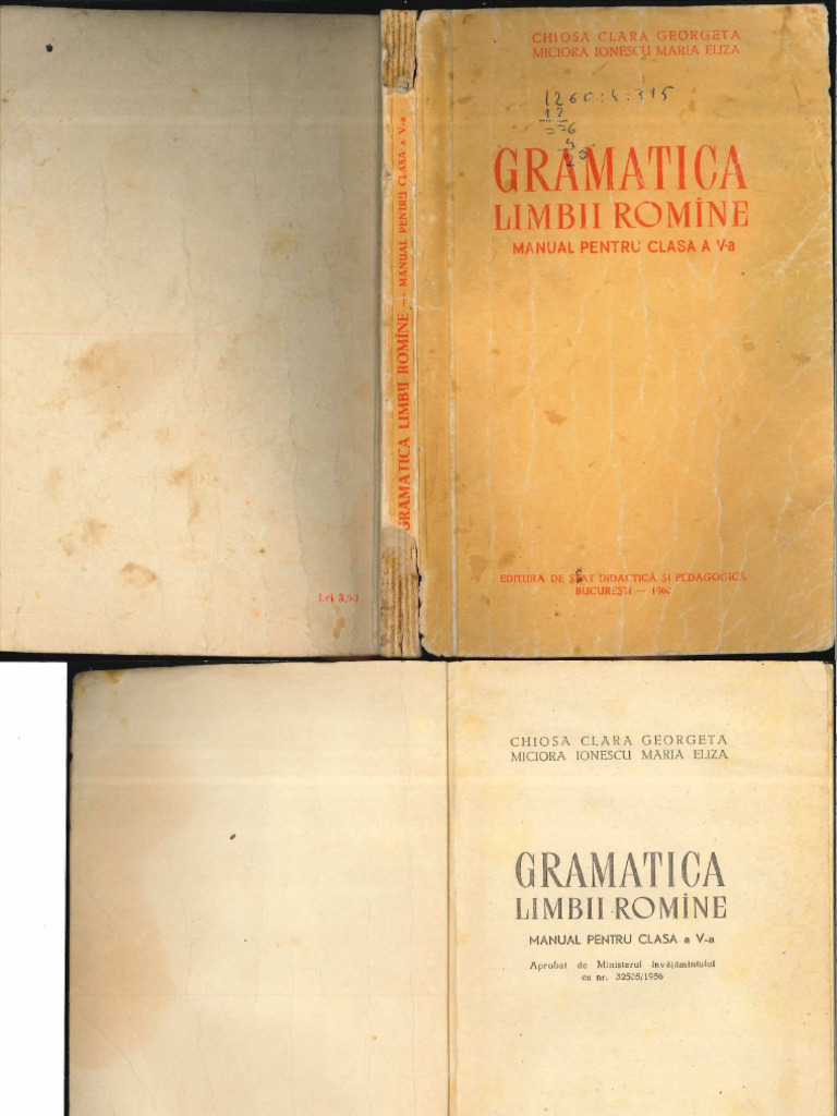 Gramatica Limbii Romane Nou | PDF