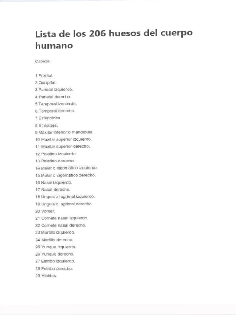 Los 206 Huesos | PDF | Vértebra | Sistema esquelético