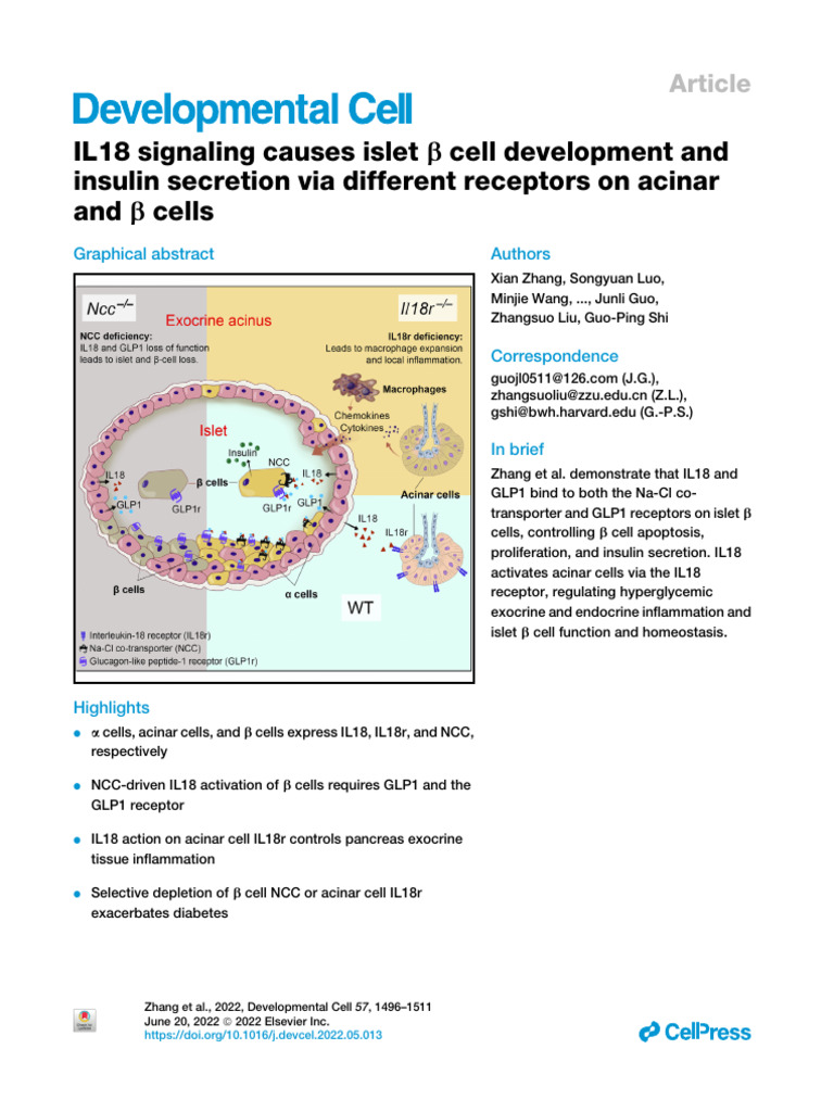 Developmental Cell - IL18 Signallinging | PDF | Pancreas | Insulin