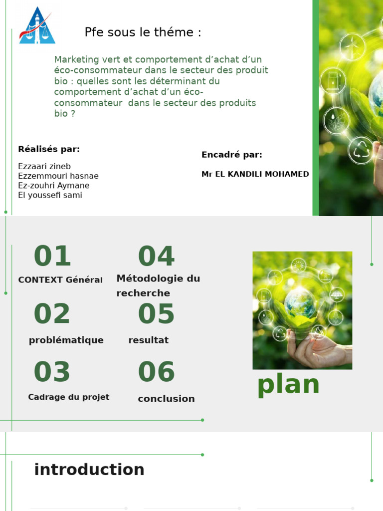 PPT MARKETING VERT GOTTI (3) | PDF | Consommateurs | Commercialisation