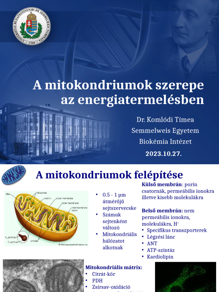 Bioenergetika GYTK 11 11 KT | PDF