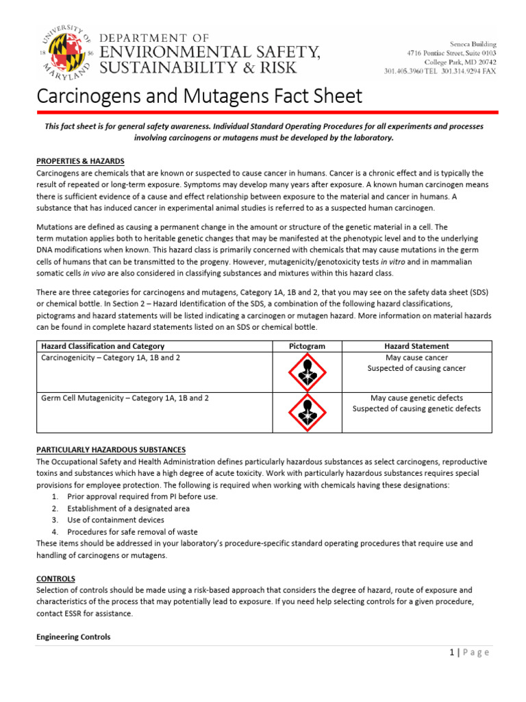 Carcinogens and Mutagens Fact Sheet | PDF | Carcinogen | Mutagen