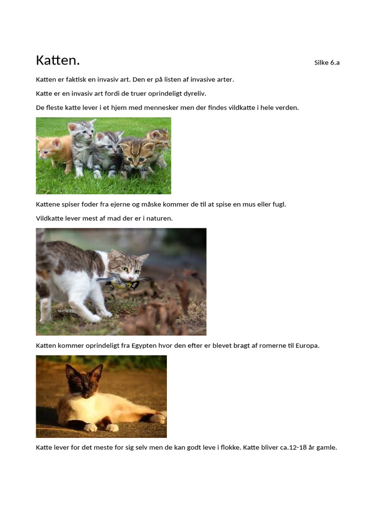 Katte Er en Invasiv Art | PDF