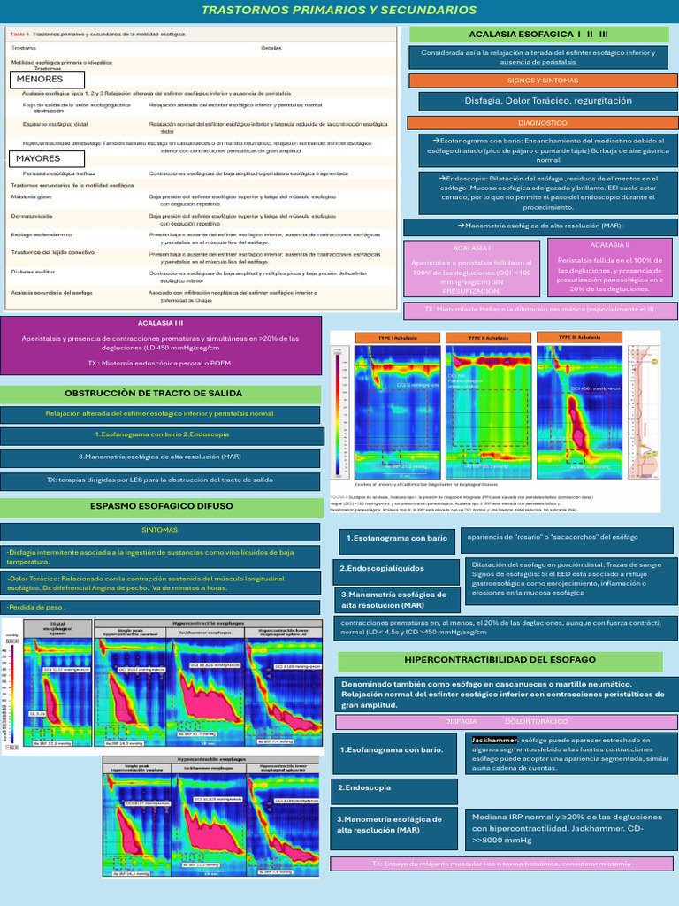 INFOGRAFIA | PDF | Esófago | Órgano (anatomía)