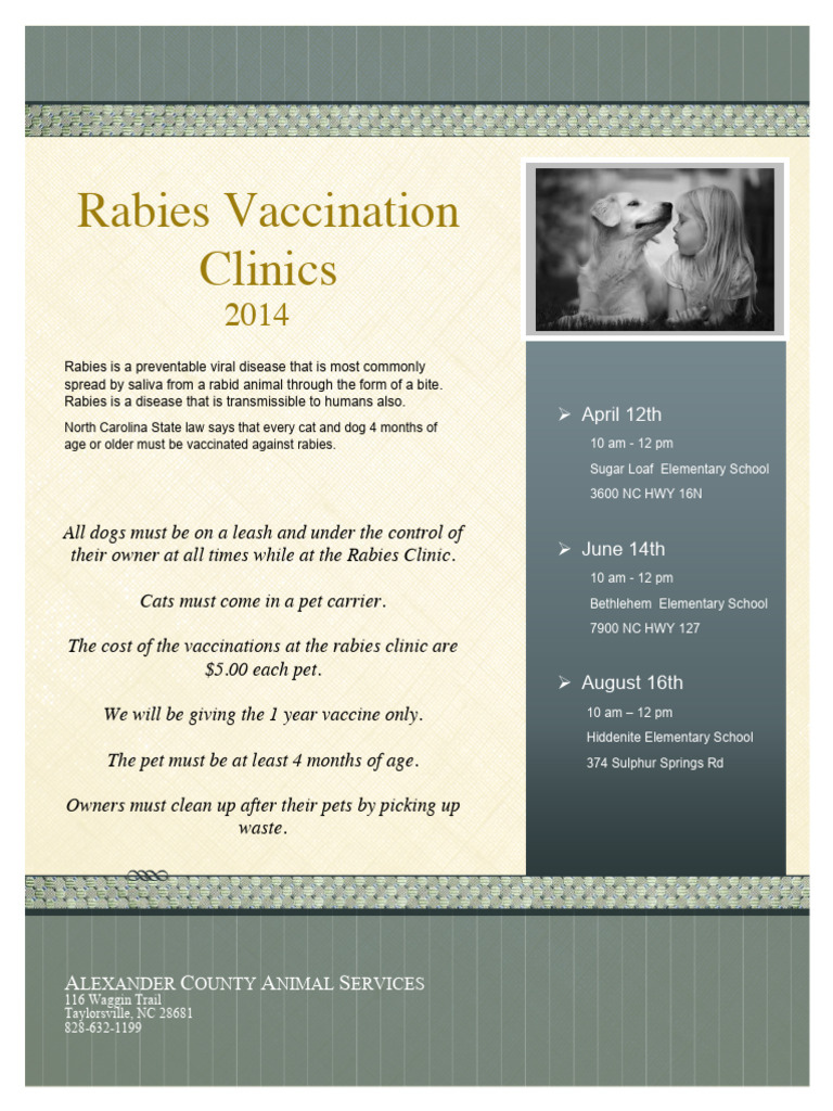 Rabies Clinic Flyer | PDF