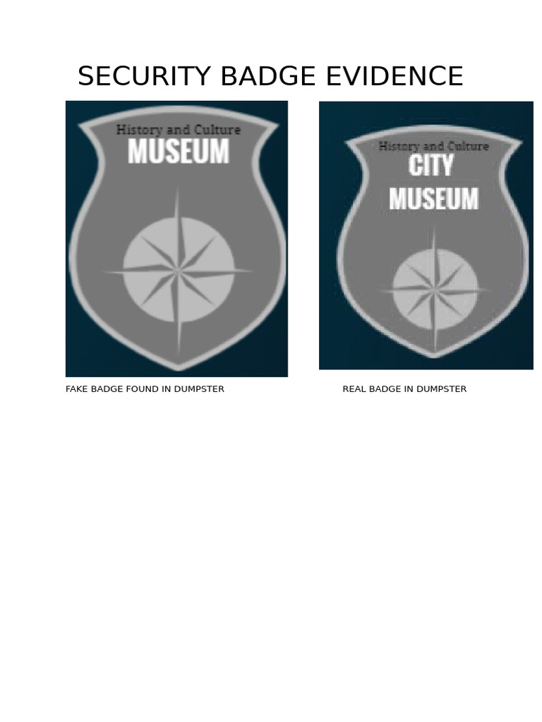 Security Badge Evidence Report | PDF
