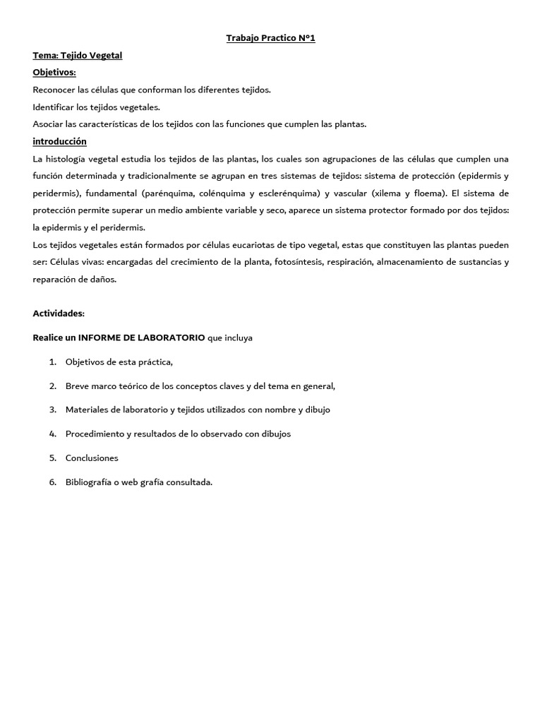 Trabajo Practico N 1 | PDF