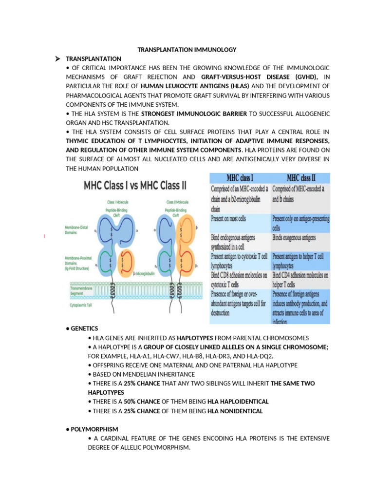 Transplantation Immunology Insights | PDF | Polymerase Chain Reaction ...