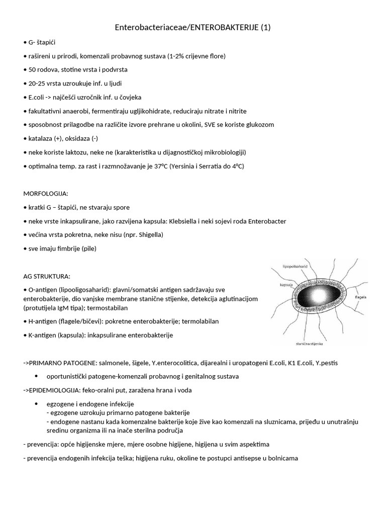 Enterobacteriaceae | PDF