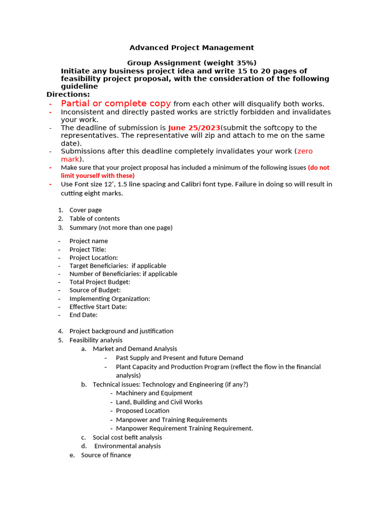 Business Project Feasibility Proposal Guide | PDF | Net Present Value ...