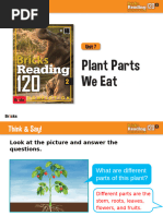 Edible Parts of Plants Explained | PDF | Fruit | Vegetables