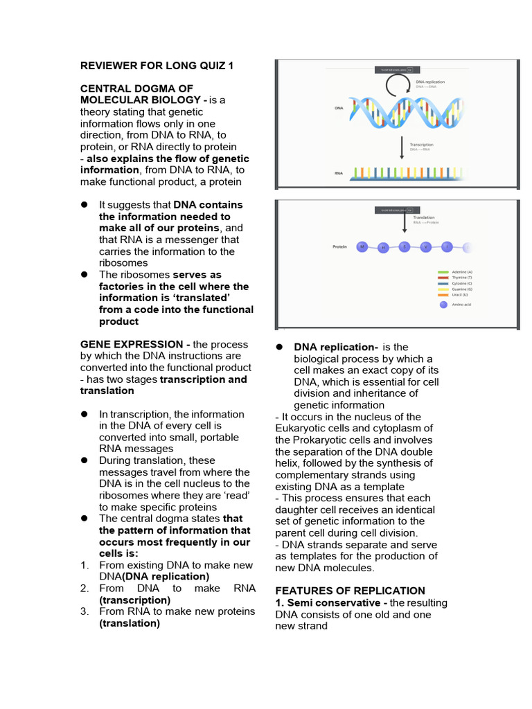 Reviewer For Periodical Exam in General Biology | PDF | Dna Replication ...