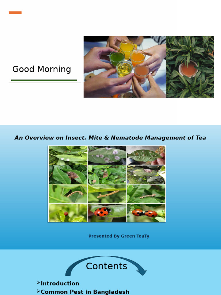 99 .An Overview On Insect, Mite & Nematode Management of Tea-Group C ...