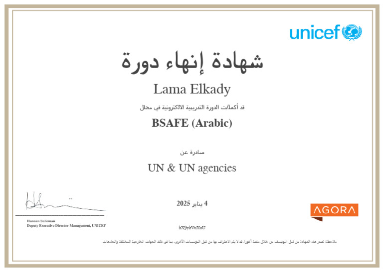 BSAFE - AR - شهادة - BSAFE | PDF