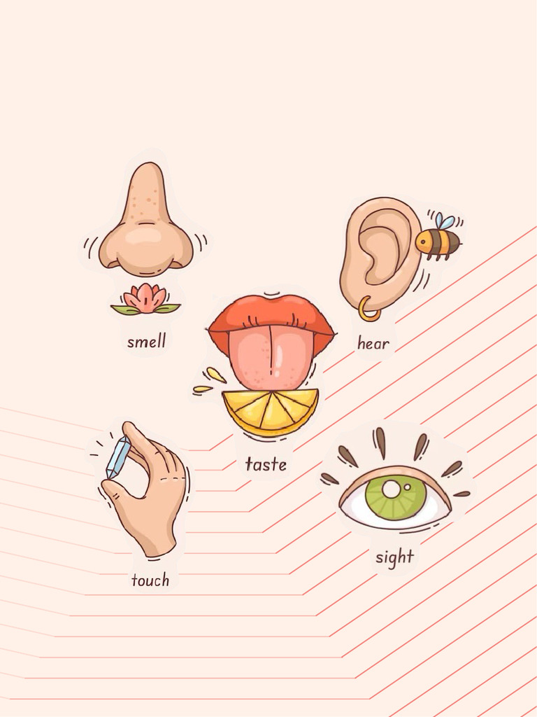 Els Cinc Sentits | PDF