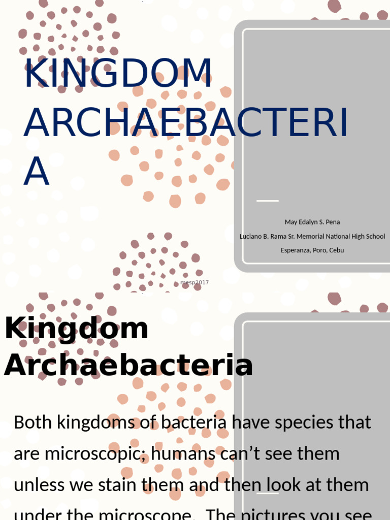 Kingdom Archaebacteria | PDF | Sodium Chloride | Archaea