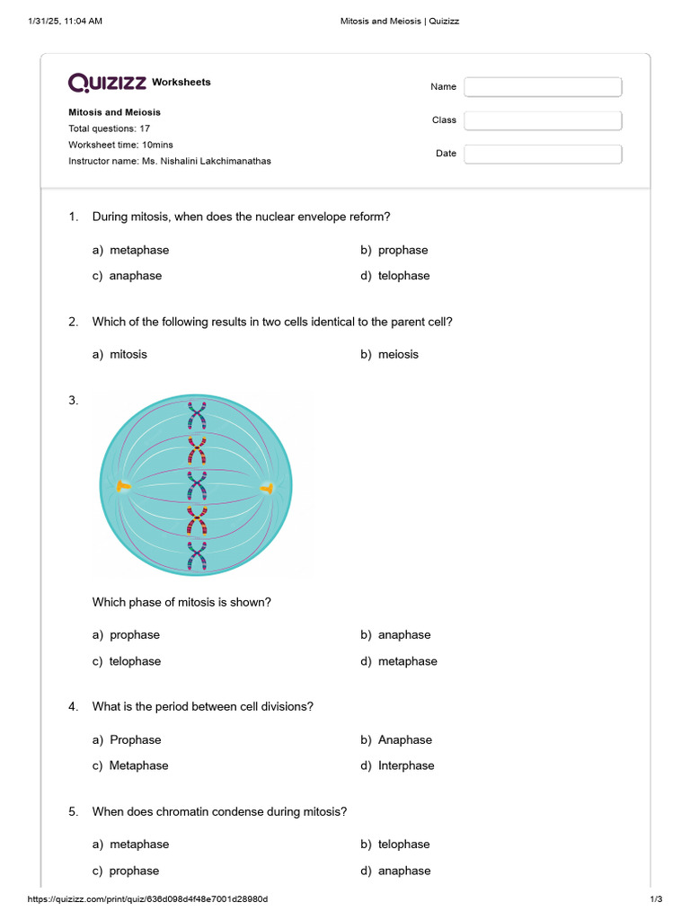 Mitosis and Meiosis - Quizizz | PDF | Mitosis | Meiosis