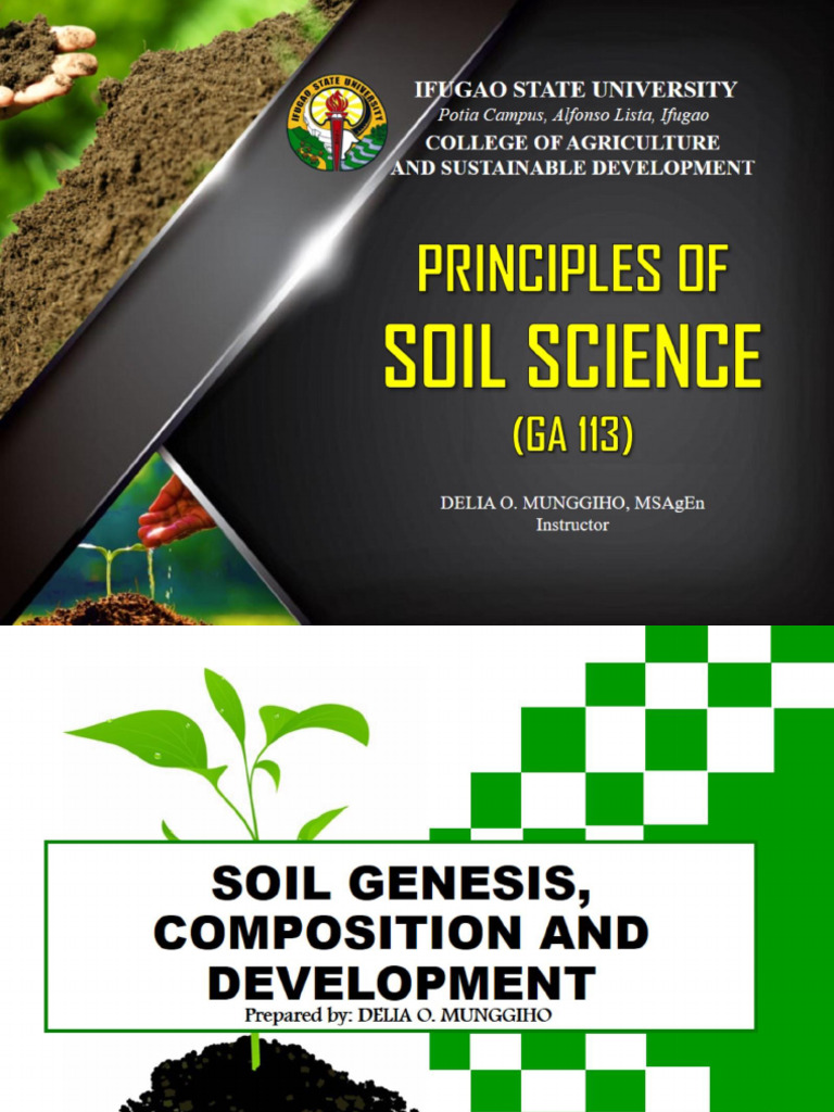 01 A Soil Genesis Composition and Development | PDF
