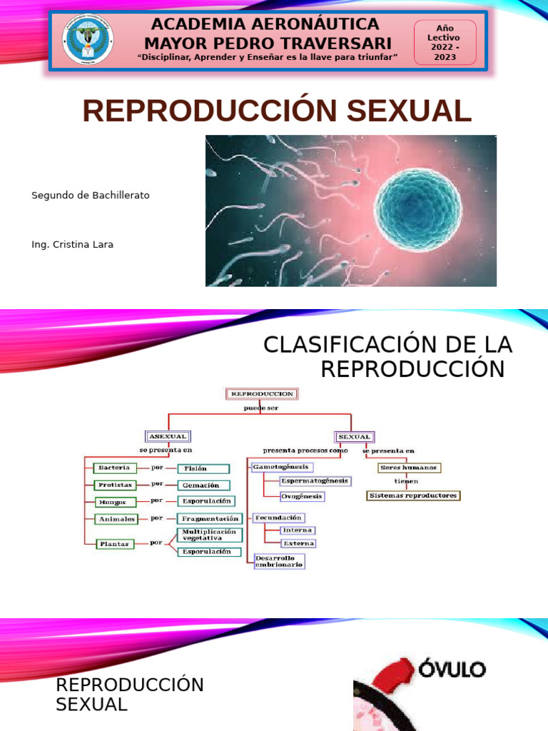 Reproduccion Sexual | PDF | Embrión | Huevo