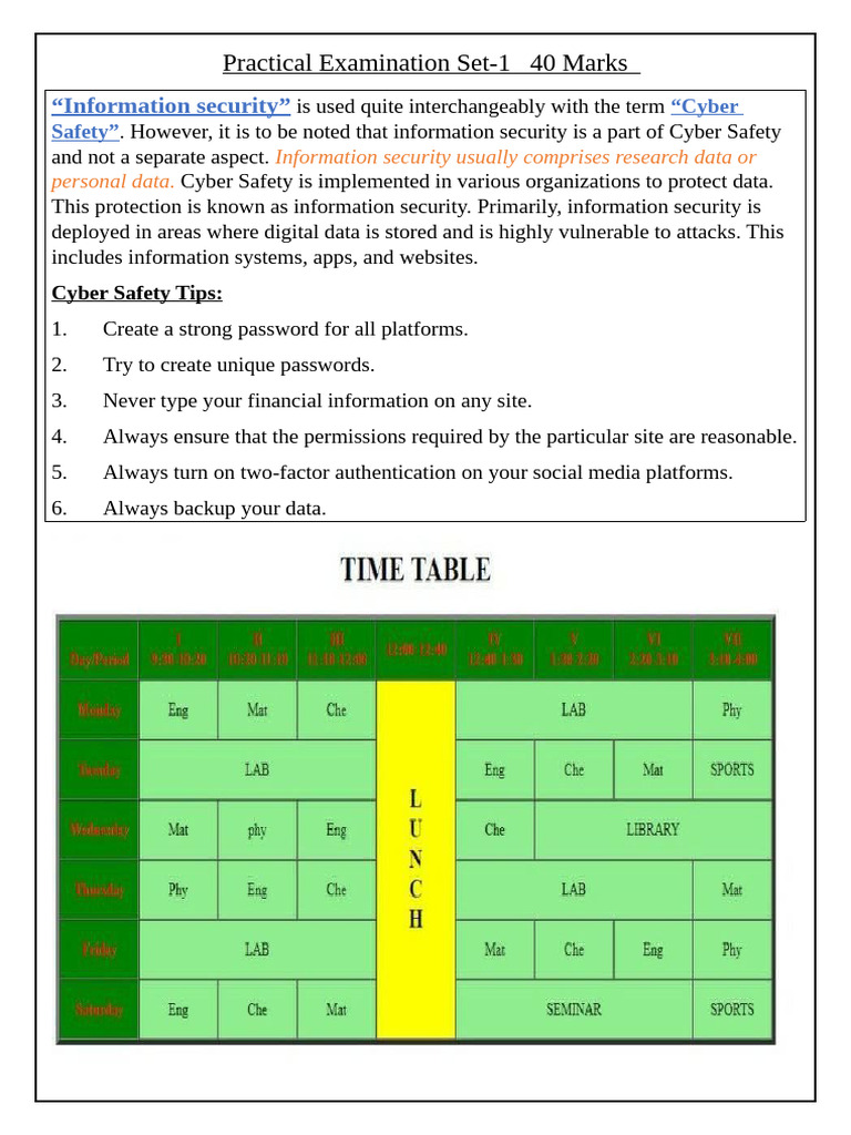 9th CBSE Term2 PracticalPaper | PDF