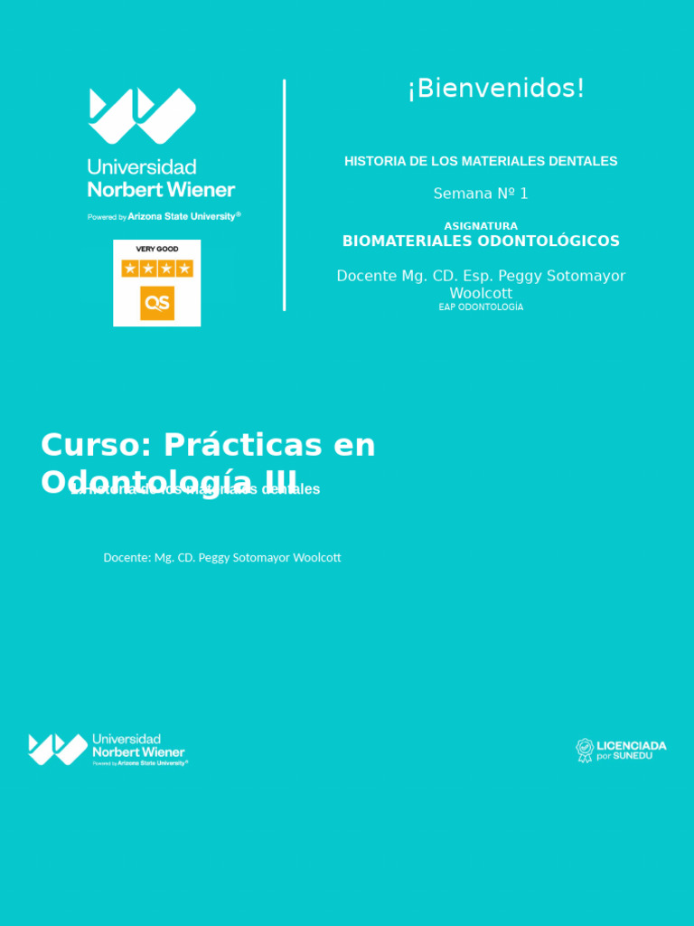 01 PPT Sesión de clases-HISTORIA DE LOS MATERIALES | PDF | Materiales