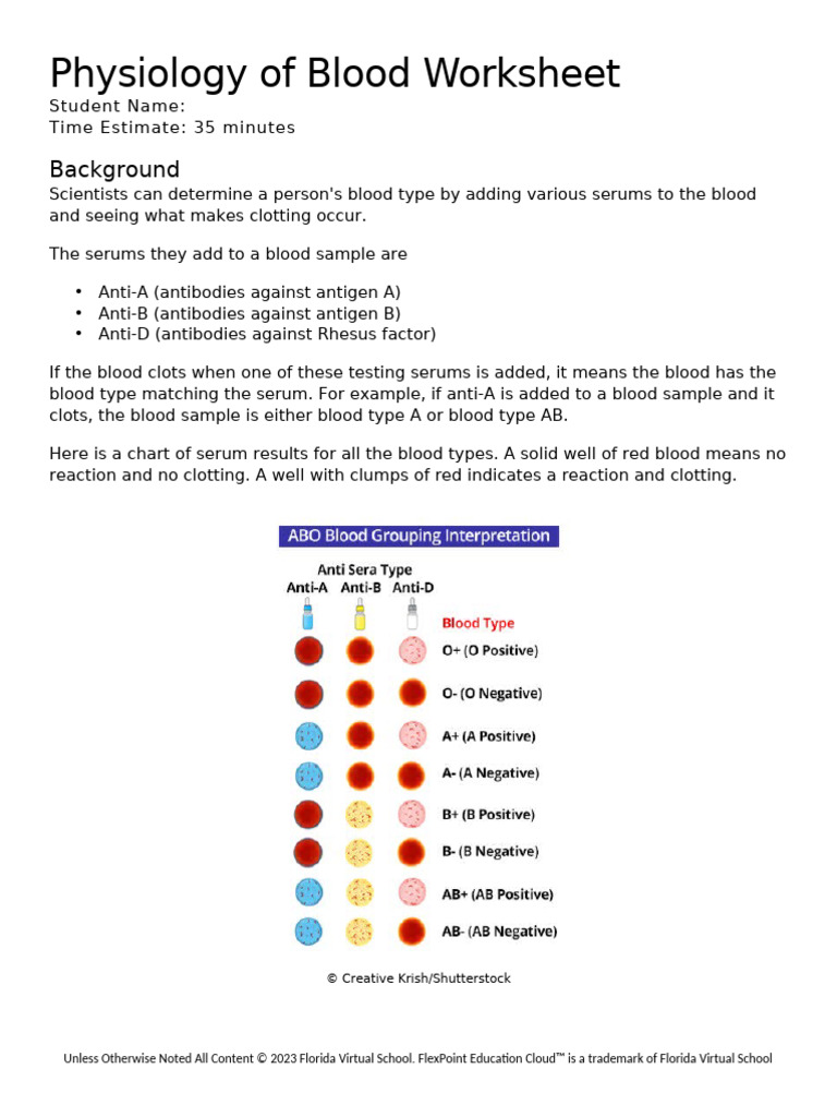 Physiology of Blood Worksheet | PDF | Blood Type | Blood Plasma