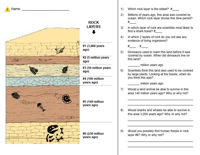 Rock Layers and Fossil Timeline Quiz | PDF | Fossil | Paleontology