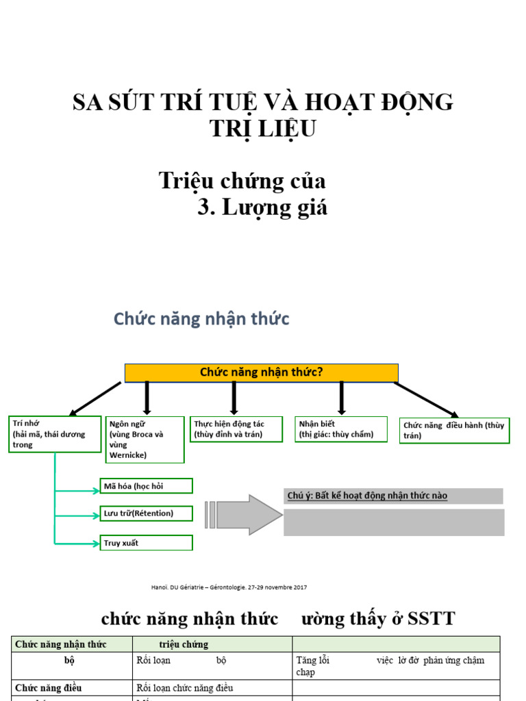 1C.Dementia2 Triệu chứng SSTT- VNM | PDF