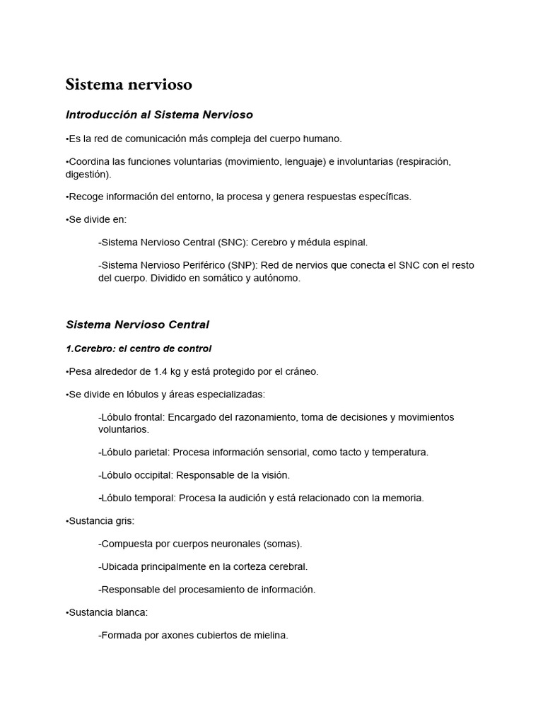 Sistema Nervioso | PDF | Cerebro | Sistema nervioso central