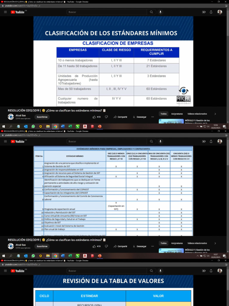 Estandares Minimos | PDF