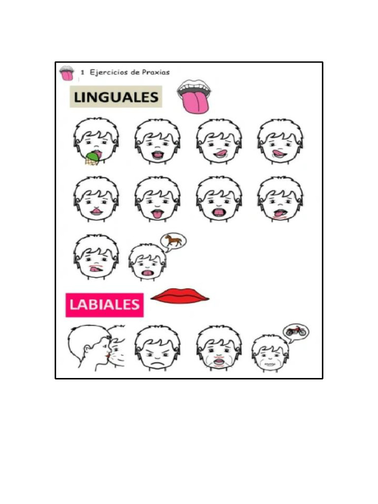 Fonema R - 1 Praxias | PDF