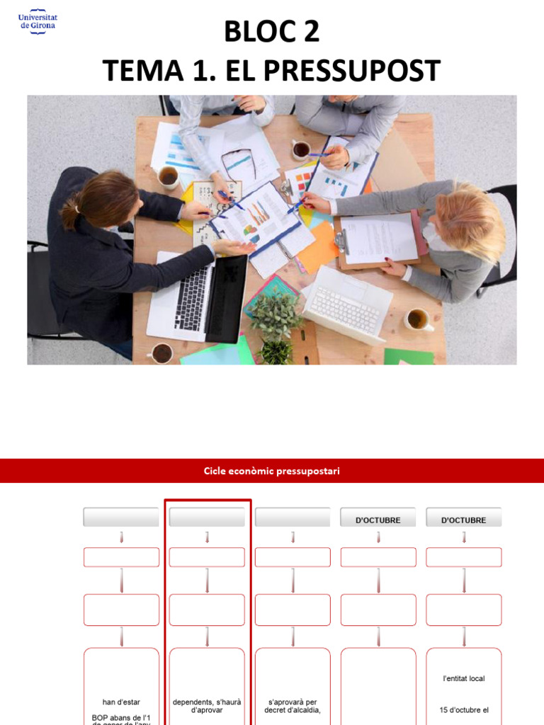 Tema 1. El Pressupost Públic VB | PDF