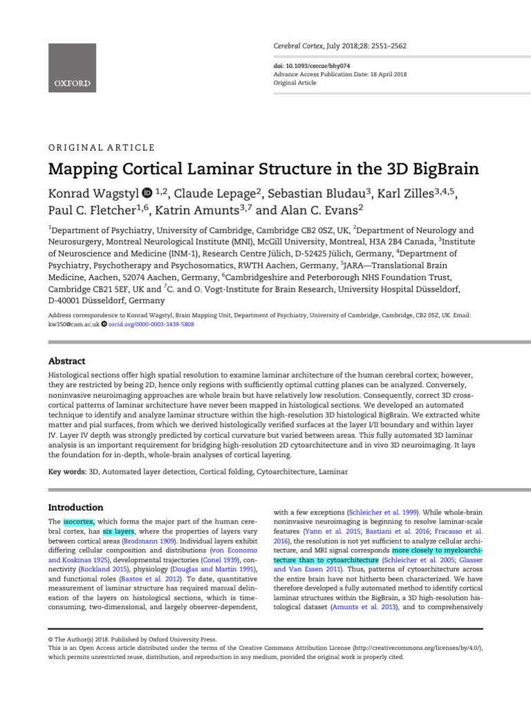 Mapping Cortical Laminar Structure in The 3D BigBrain | PDF | Cerebral ...