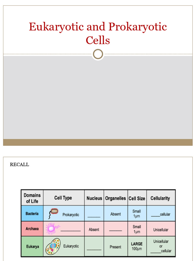 Eukaryotic vs Prokaryotic Cell Structures | PDF | Cell (Biology ...