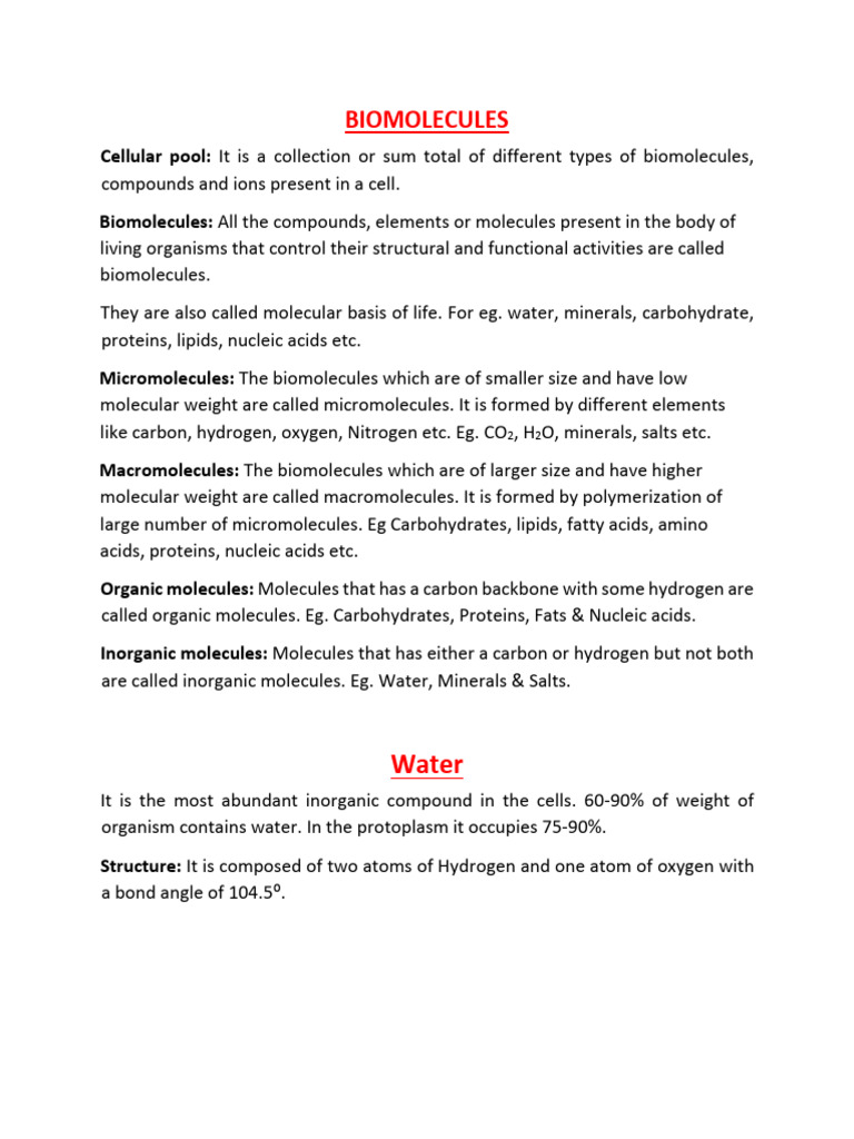 Understanding Biomolecules and Their Functions | PDF | Fatty Acid ...