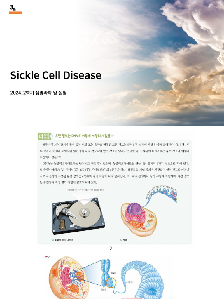 (수업자료) Sickle Cell Disease (SCD) | PDF