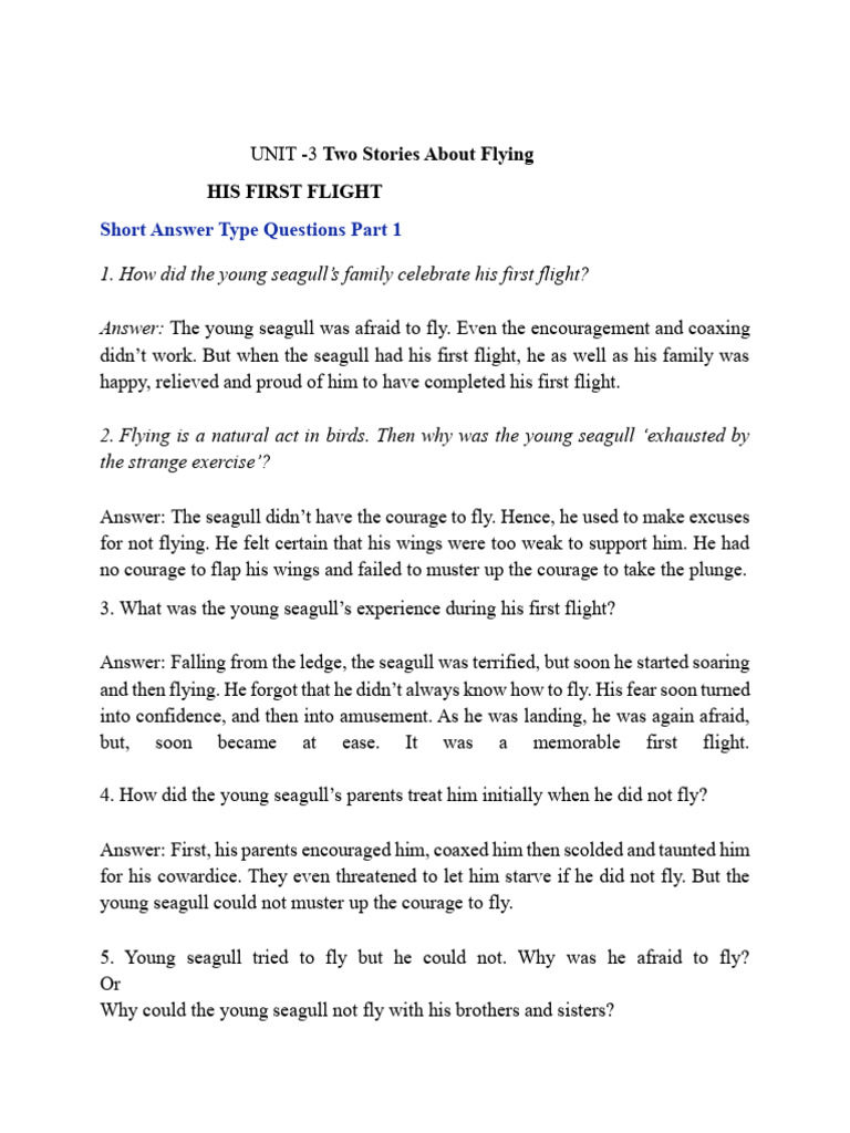 Two Stories About Flying | PDF | Airplane | Airport