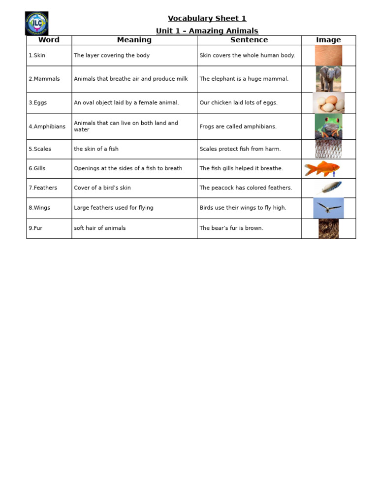 Vocabulary Sheet 1 - Garde 2 | PDF