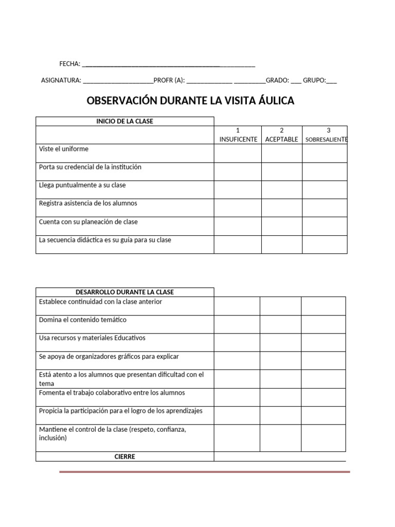 Formato Observacion Visita Aulica | PDF