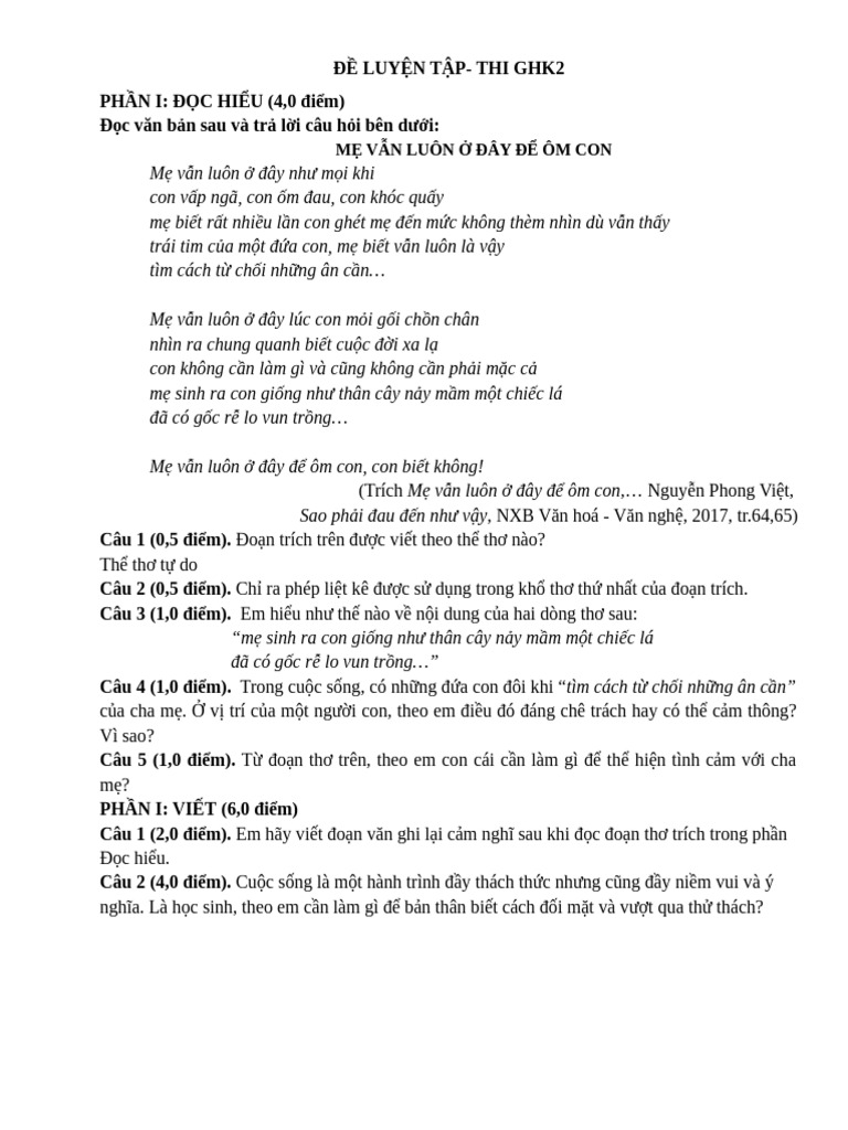 24-25 NV9 ĐỀ LUYỆN TẬP GHK2 SỐ 3 | PDF