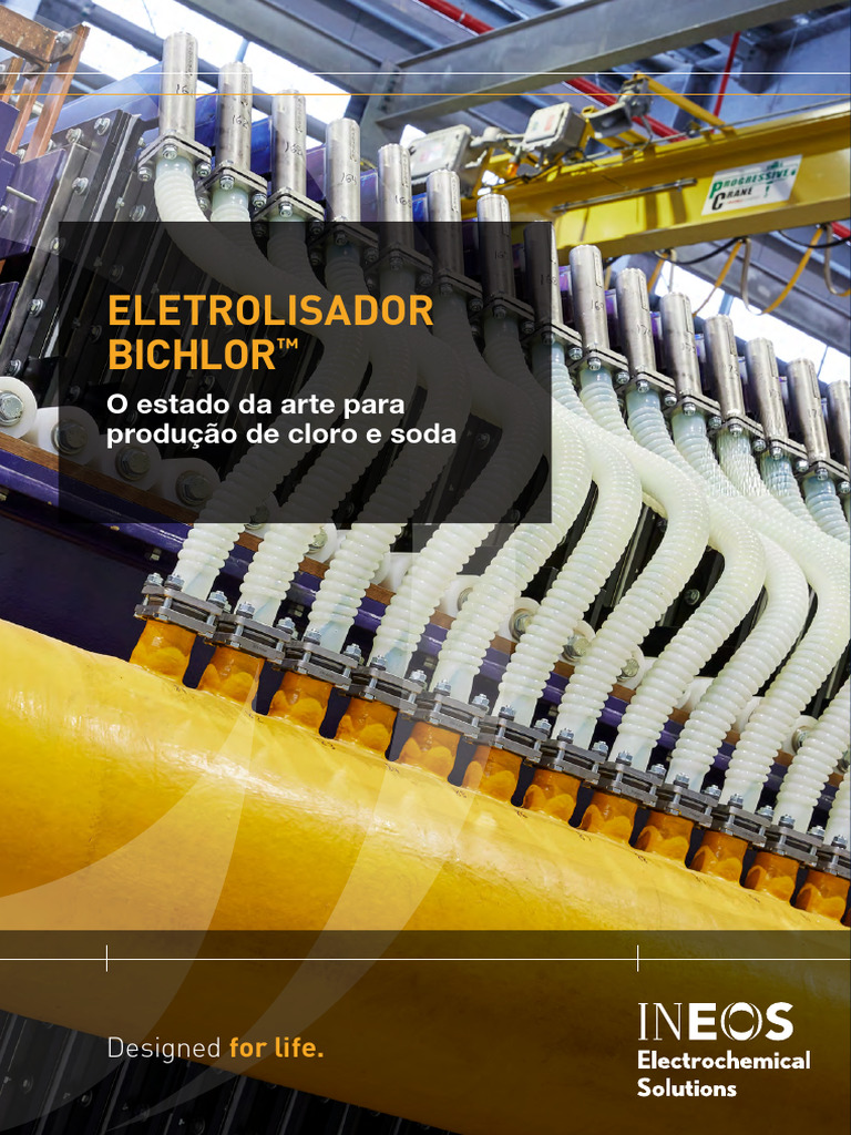 Ineos Bichlor Brochure PT | PDF | Vida | Economia