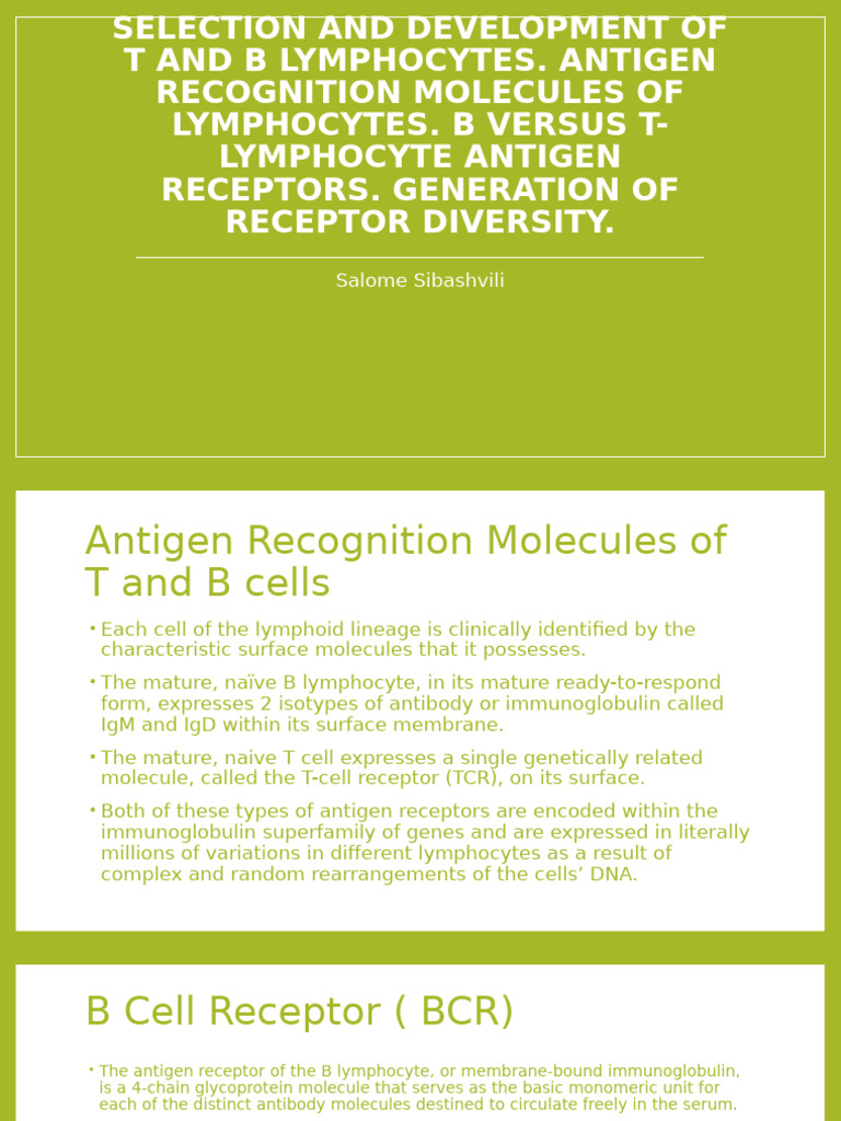 3.selection and Development of T and B Lymphocytes | PDF | T Cell | B Cell