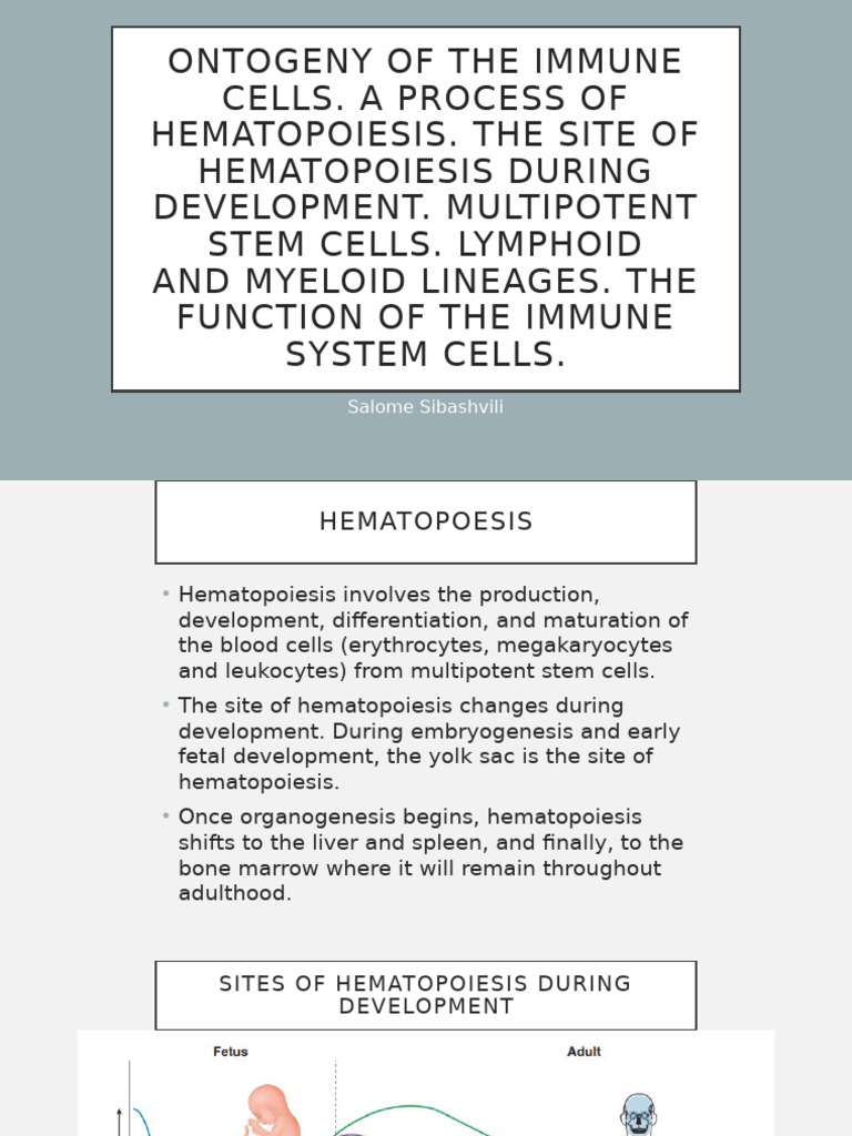 Immune Cell Ontogeny and Hematopoiesis | PDF | Dendritic Cell | Lymphocyte