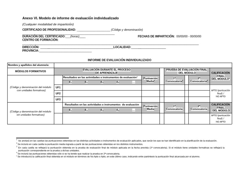 PLANTILLA Anexo VI. Informe de Evaluación Individualizado | PDF | Aprendizaje